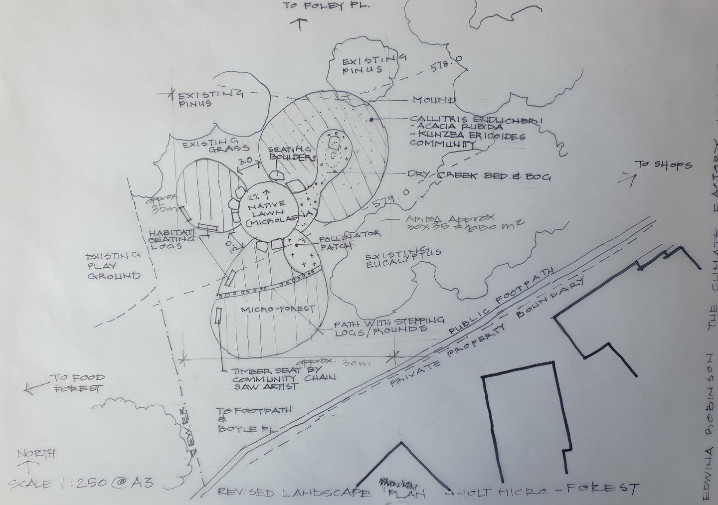 Updated Draft Landscape Design – Holt Micro-Forest