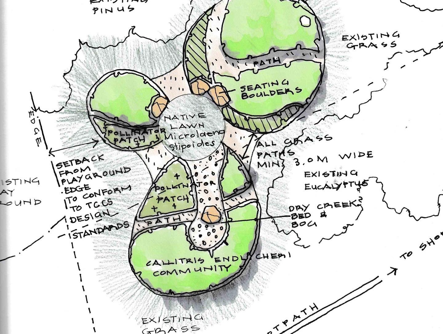 Updated Landscape Design – Holt Micro-Forest