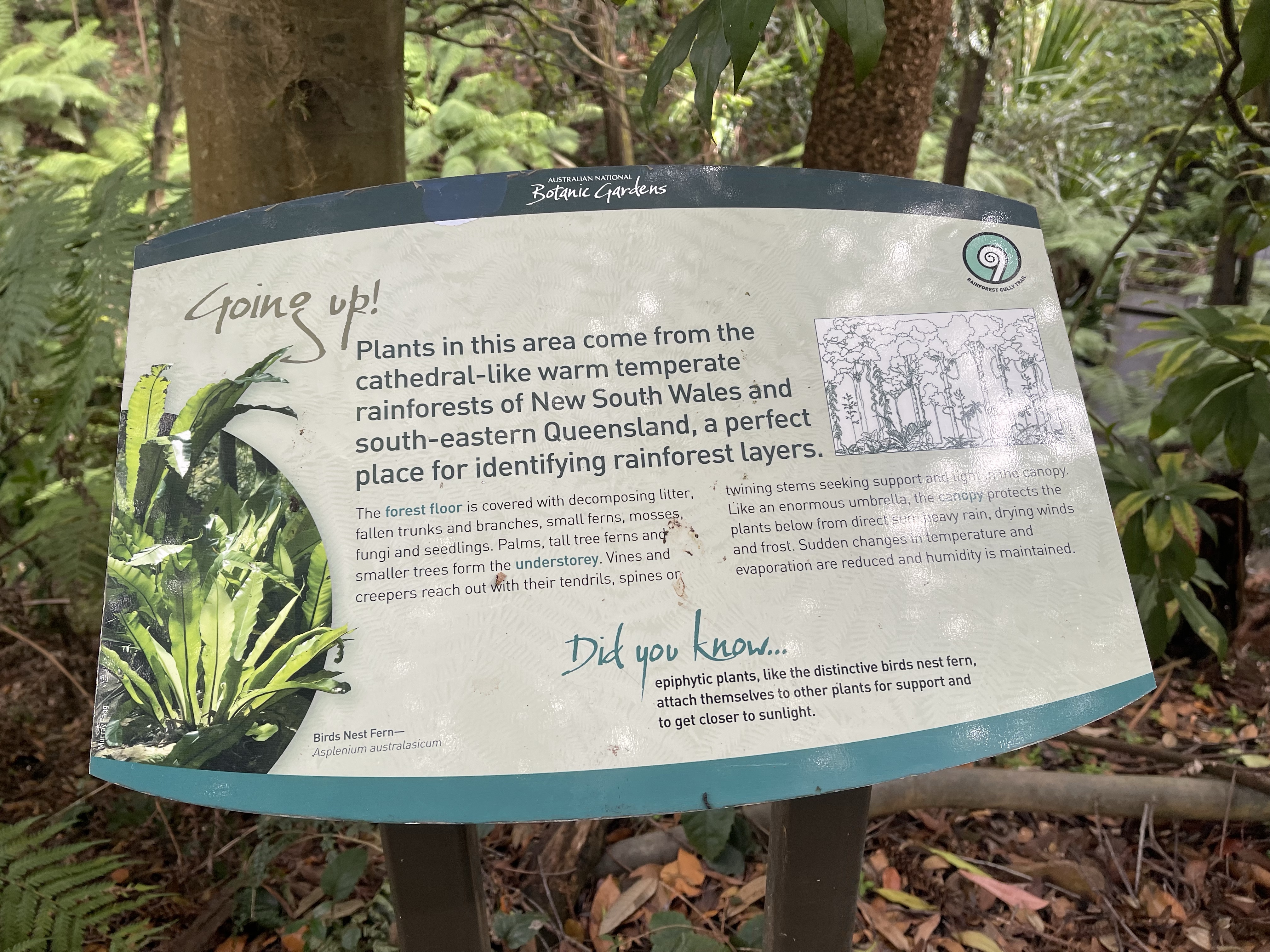 Park Signage Ideas – Holt Micro-Forest