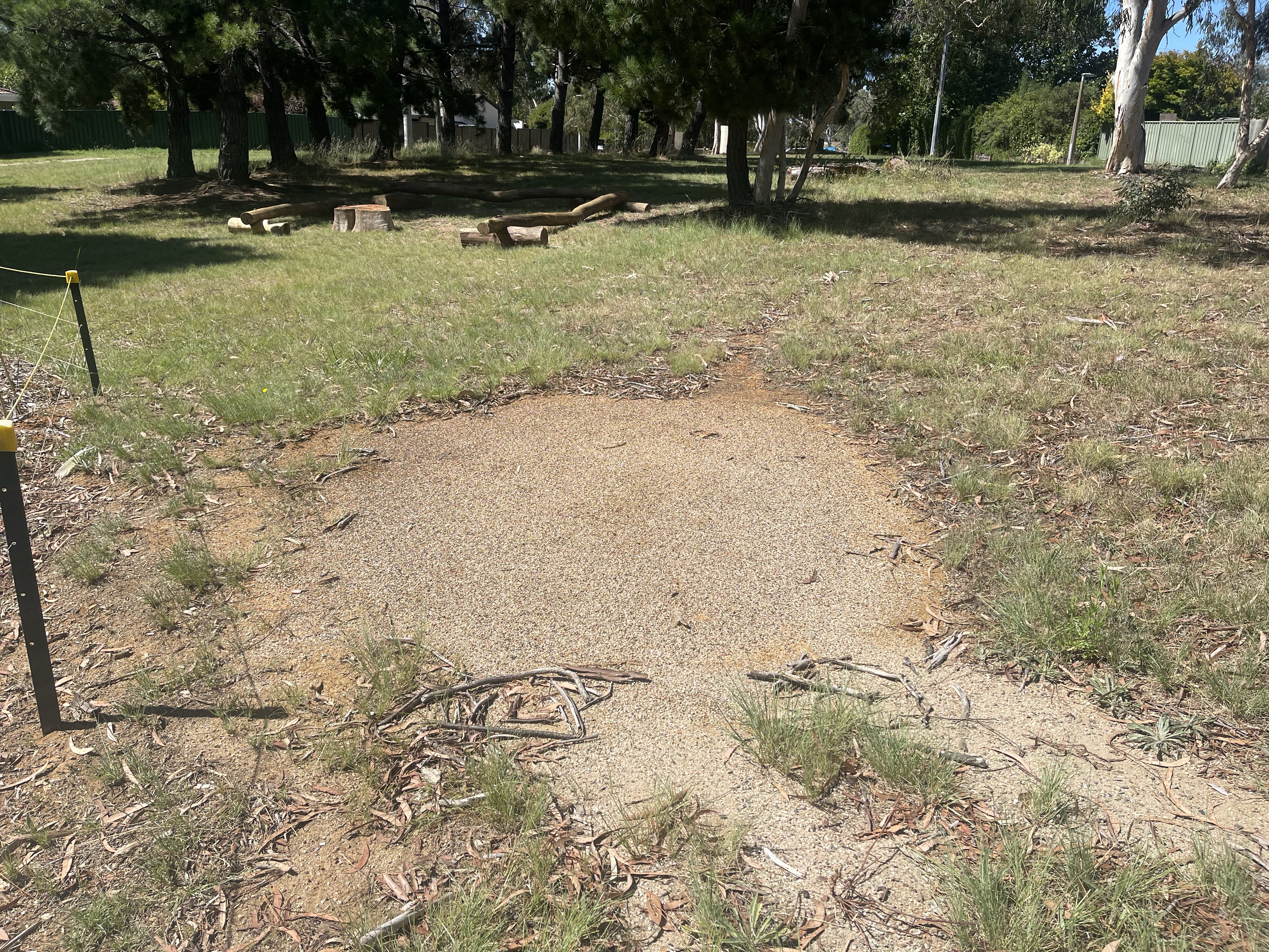 Upcoming Indigenous Plant Use Sessions with Aaron Chatfield – Holt ...